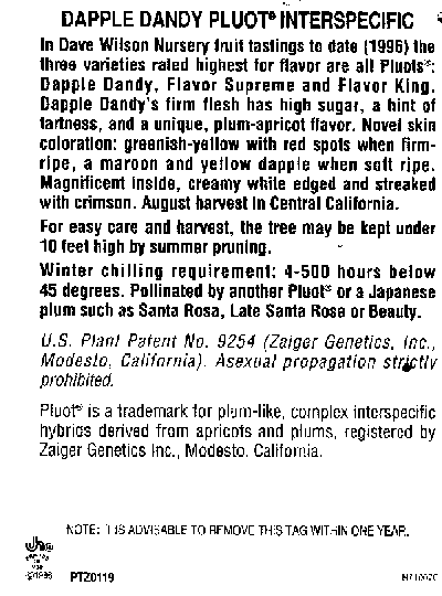 Plum and Pluot Trees Planted