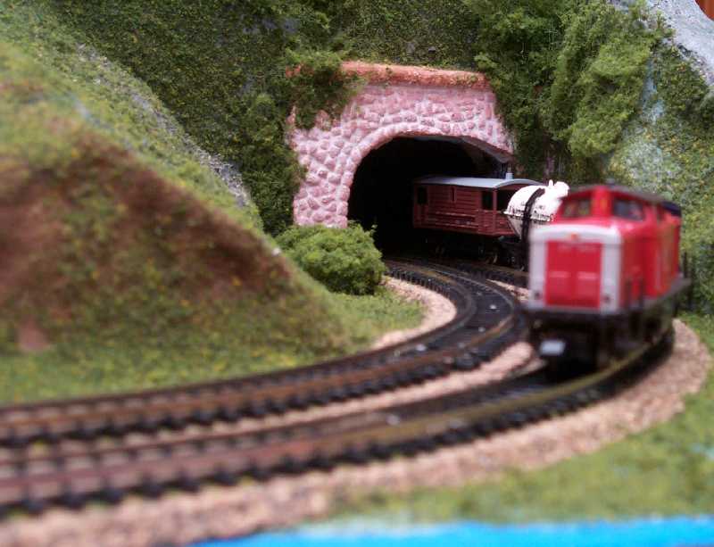 The "Santa Rosa Nscale" Model Train Layout